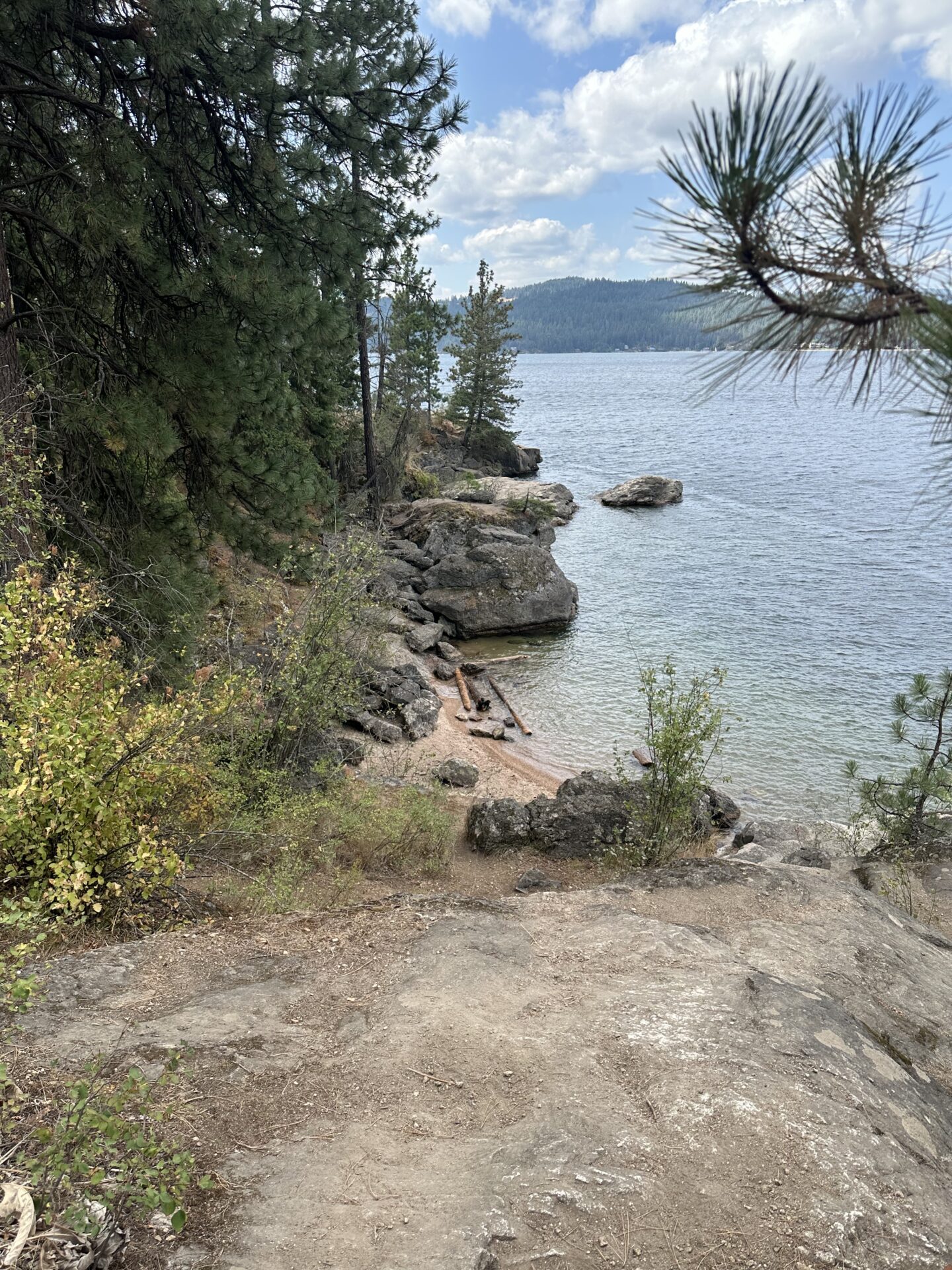 10 Reasons to Hike Tubbs Hill in Coeur d'Alene, Idaho! - ManagedMoms.com